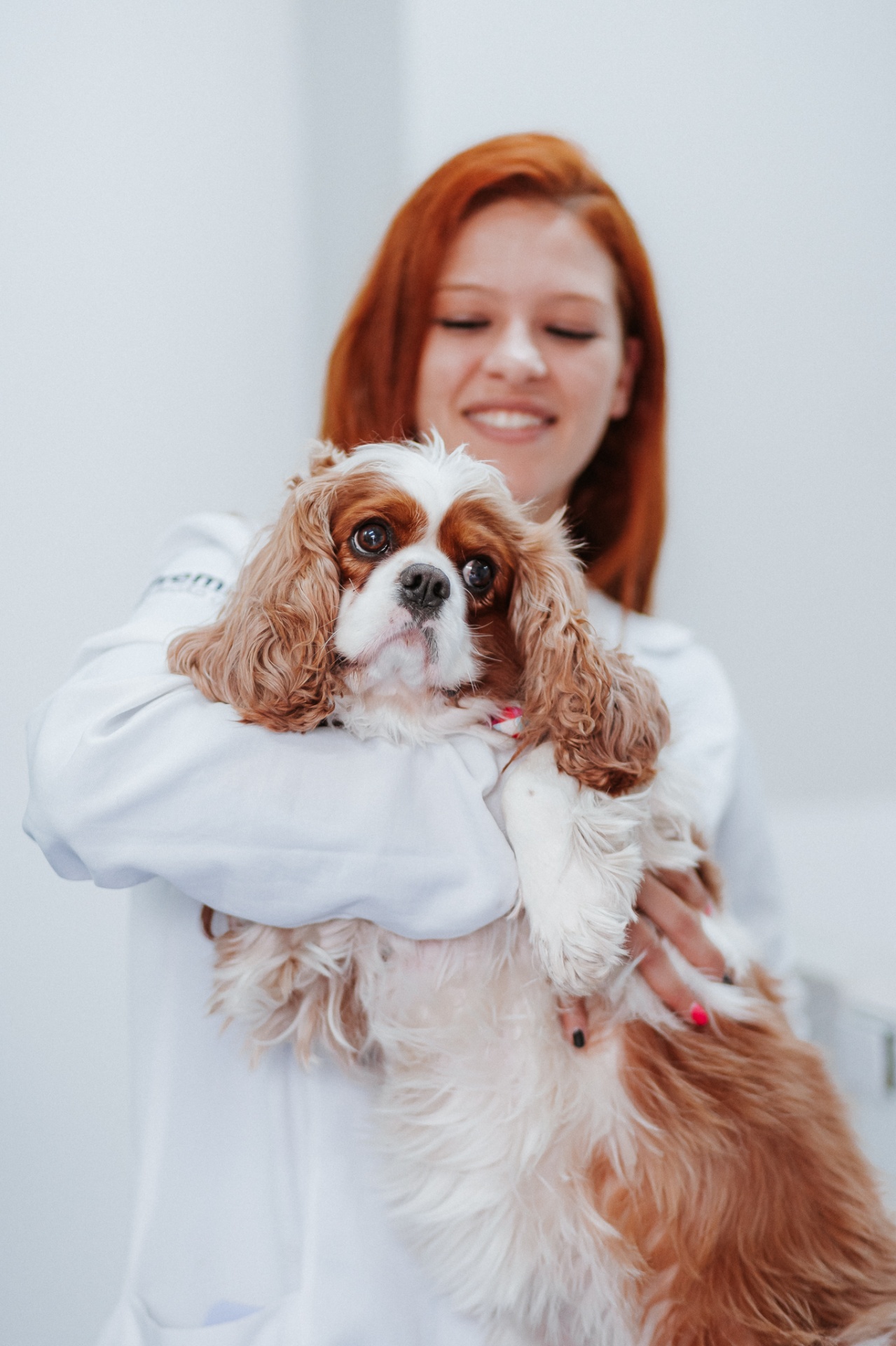 Vet Domus | Hospital Veterinário 24 Horas